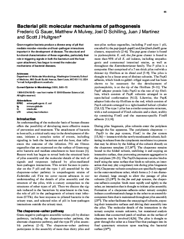 (PDF) Bacterial pili: molecular mechanisms of pathogenesis