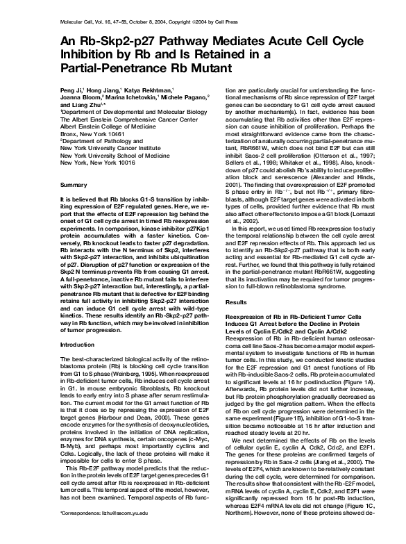 (PDF) An Rb-Skp2-p27 Pathway Mediates Acute Cell Cycle Inhibition by Rb ...