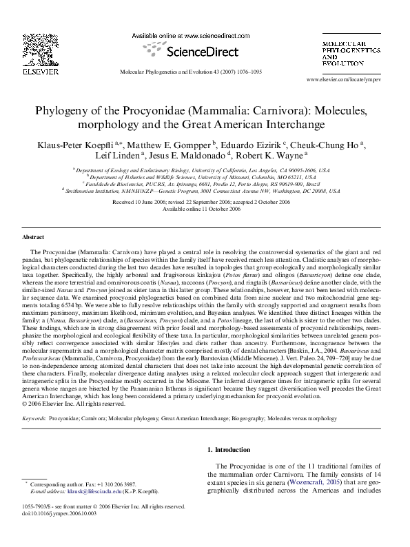 (PDF) Phylogeny of the Procyonidae (Mammalia: Carnivora): Molecules ...