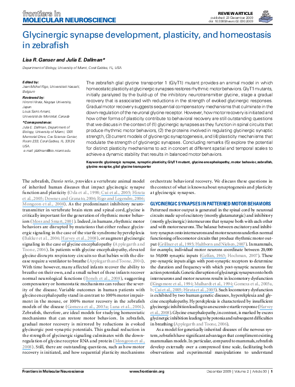 (PDF) Glycinergic synapse development, plasticity, and homeostasis in ...