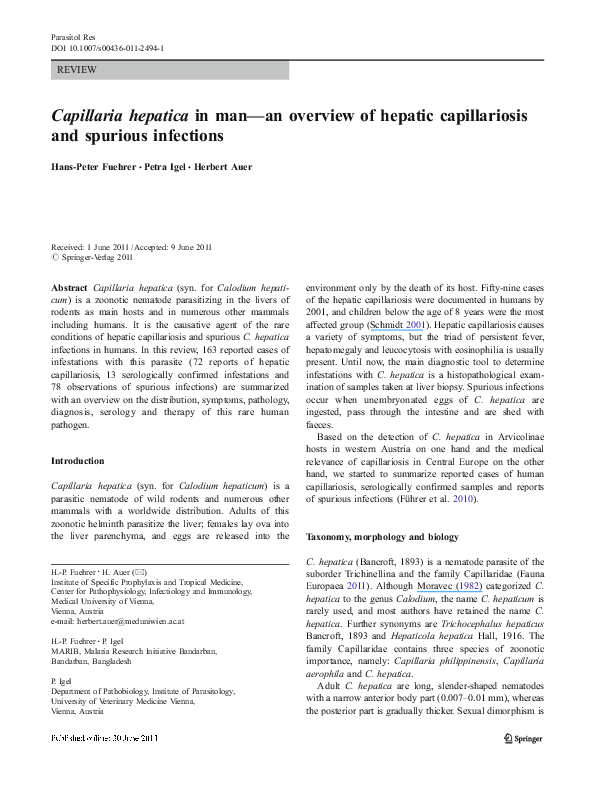 (PDF) Capillaria hepatica in man—an overview of hepatic capillariosis ...