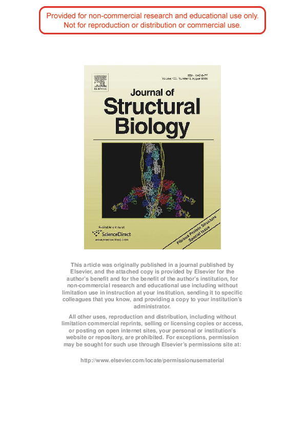 (PDF) Anchoring of the giant muscle protein titin in muscle cells ...