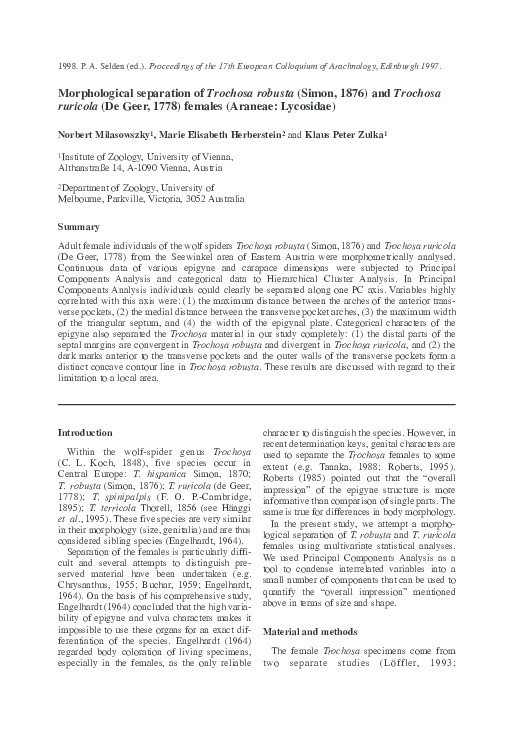 (PDF) Morphological separation of Trochosa robusta (Simon, 1876) and ...