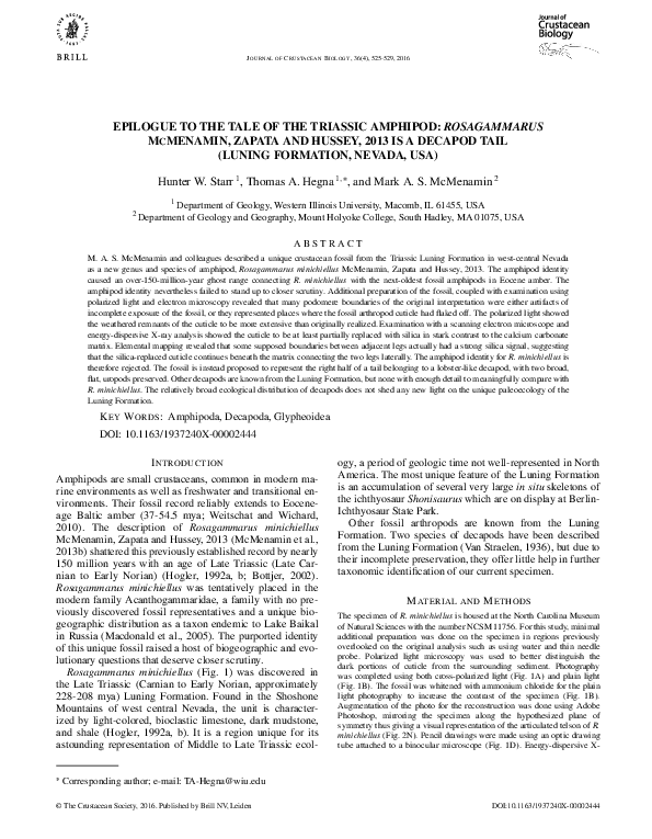 (PDF) Epilogue to the tale of the Triassic amphipod: Rosagammarus ...