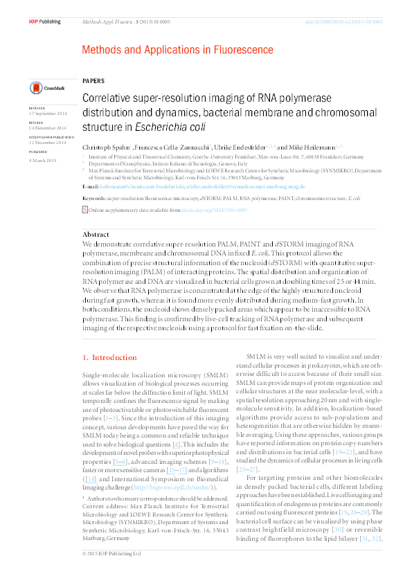 (PDF) Correlative super-resolution imaging of RNA polymerase ...