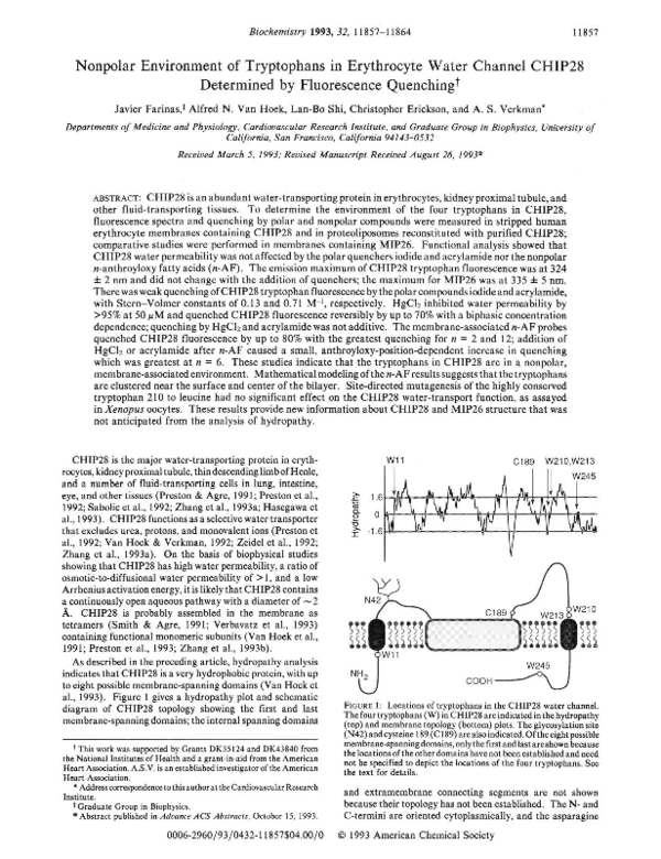(PDF) Nonpolar environment of tryptophans in erythrocyte water channel ...
