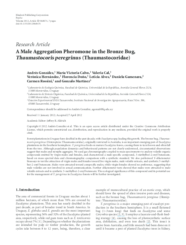(PDF) A Male Aggregation Pheromone in the Bronze Bug, Thaumastocoris ...