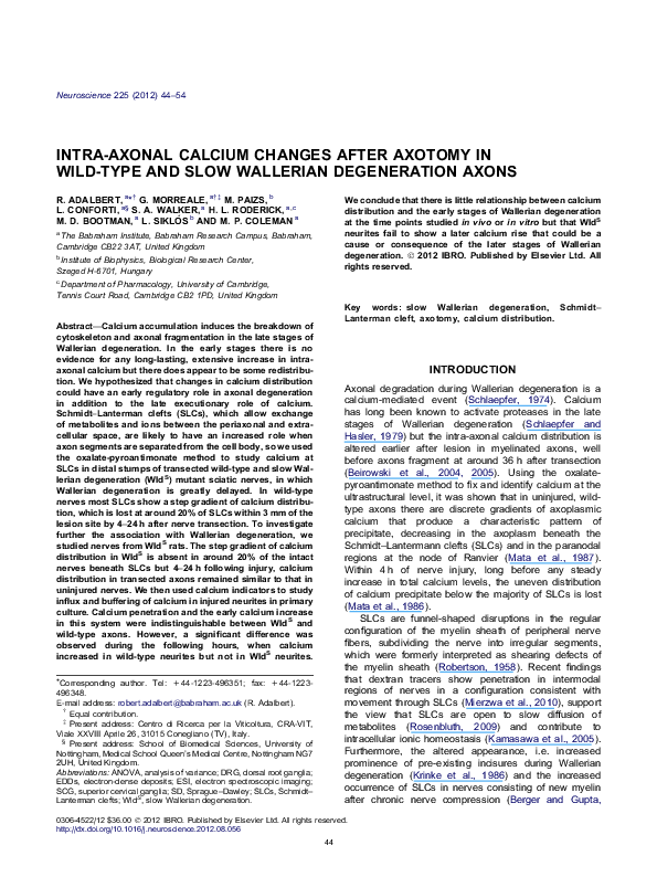 (PDF) Intra-axonal calcium changes after axotomy in wild-type and slow Wallerian degeneration axons