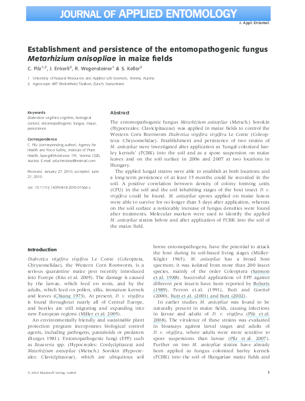 (PDF) Persistence of the entomoparasitic nematode Heterorhabditis ...