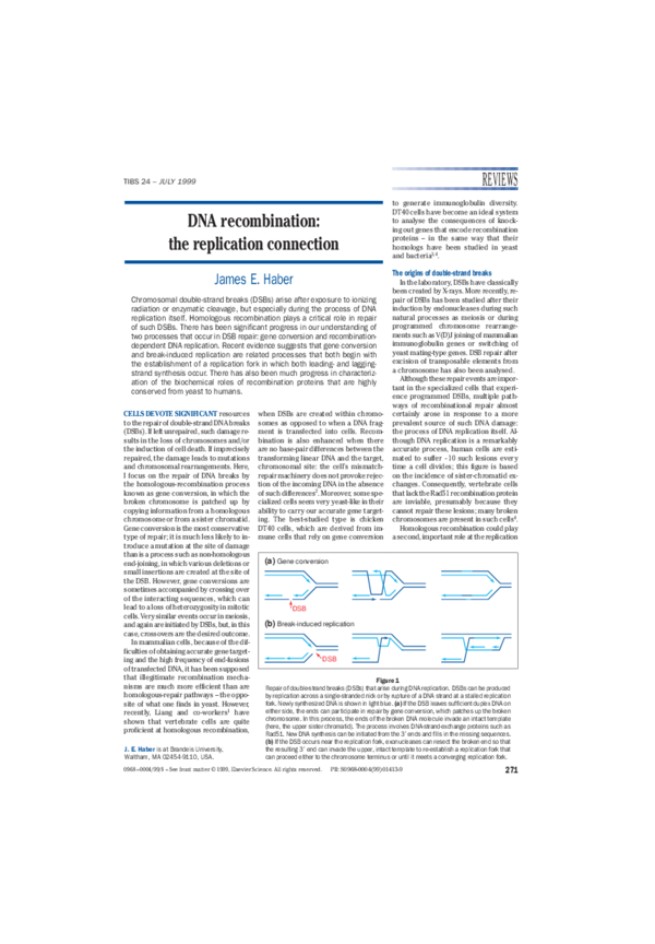 (PDF) DNA recombination: the replication connection