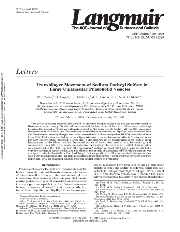 (PDF) Transbilayer Movement of Sodium Dodecyl Sulfate in Large ...