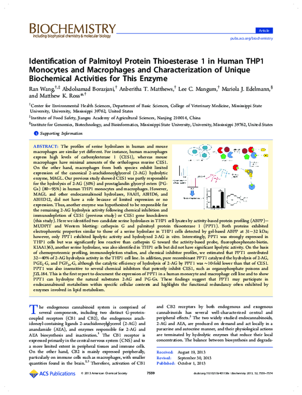 (PDF) Identification of Palmitoyl Protein Thioesterase 1 in Human THP1 ...