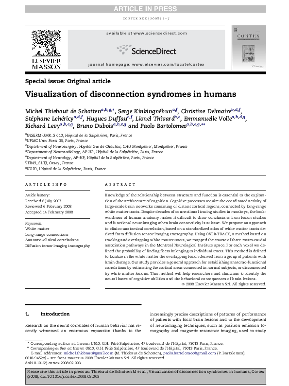 (PDF) Visualization of disconnection syndromes in humans