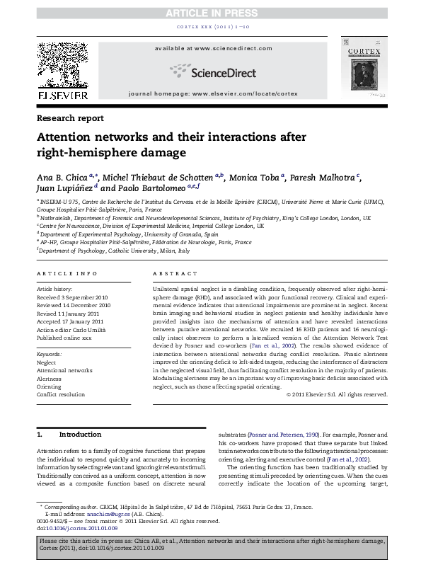 (PDF) Attention networks and their interactions after right-hemisphere ...