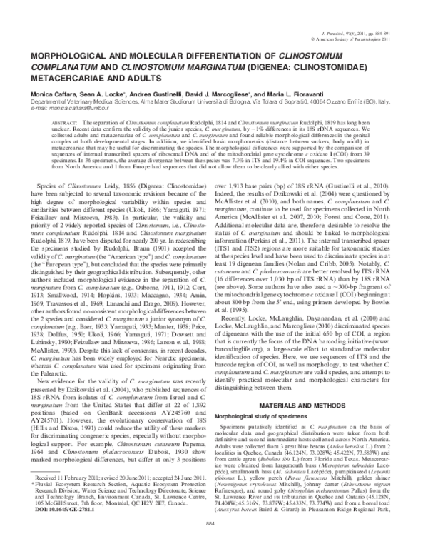 (PDF) First description of the adult stage of Clinostomum cutaneum ...