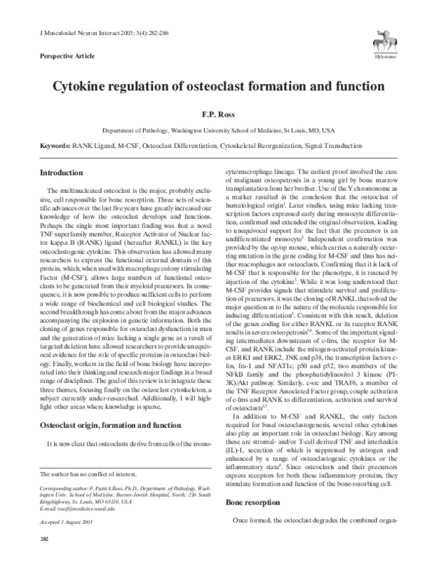 (PDF) Regulation of Osteoclast Formation and Function