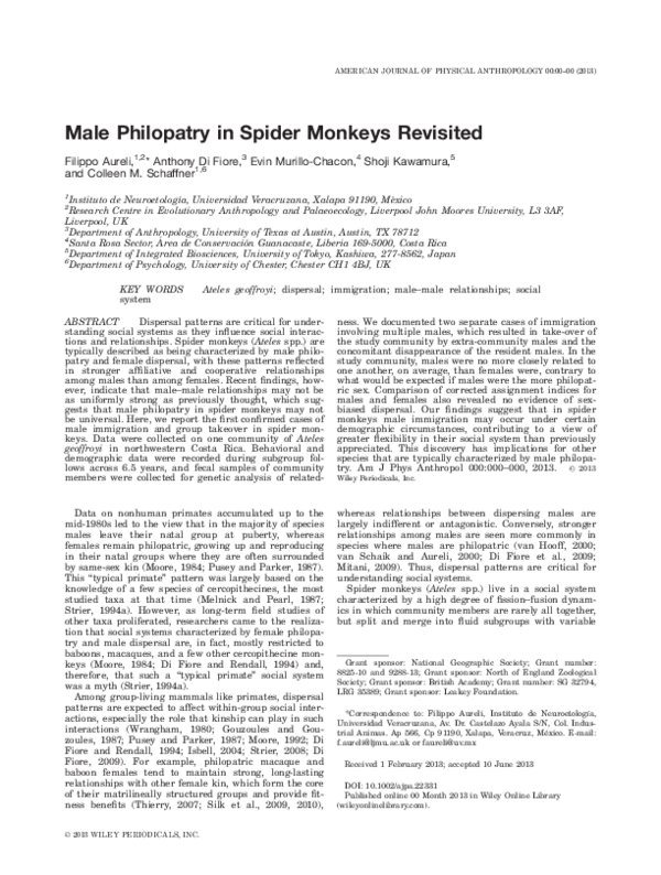 (PDF) Male philopatry in spider monkeys revisited