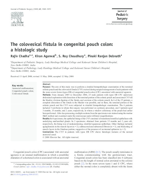 (PDF) The colovesical fistula in congenital pouch colon: a histologic study