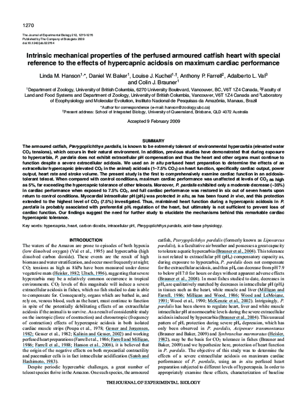 (PDF) Intrinsic mechanical properties of the perfused armoured catfish ...