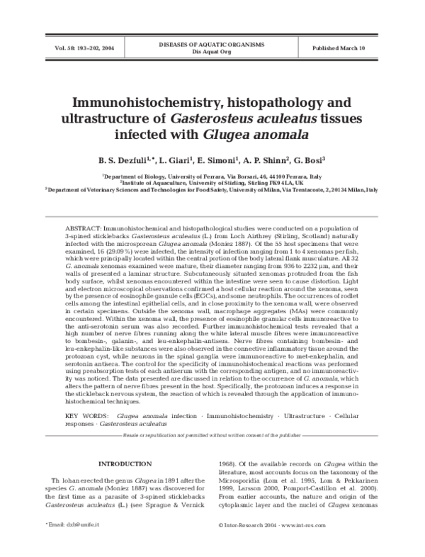 (PDF) Immunohistochemistry, histopathology and ultrastructure of ...