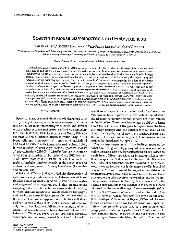 (PDF) Spectrin in mouse gametogenesis and embryogenesis