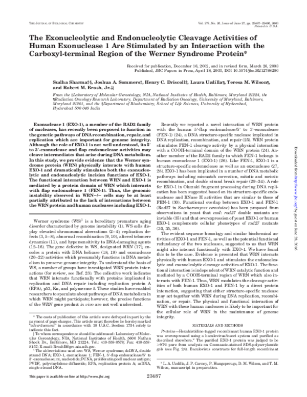 (PDF) The Exonucleolytic and Endonucleolytic Cleavage Activities of ...