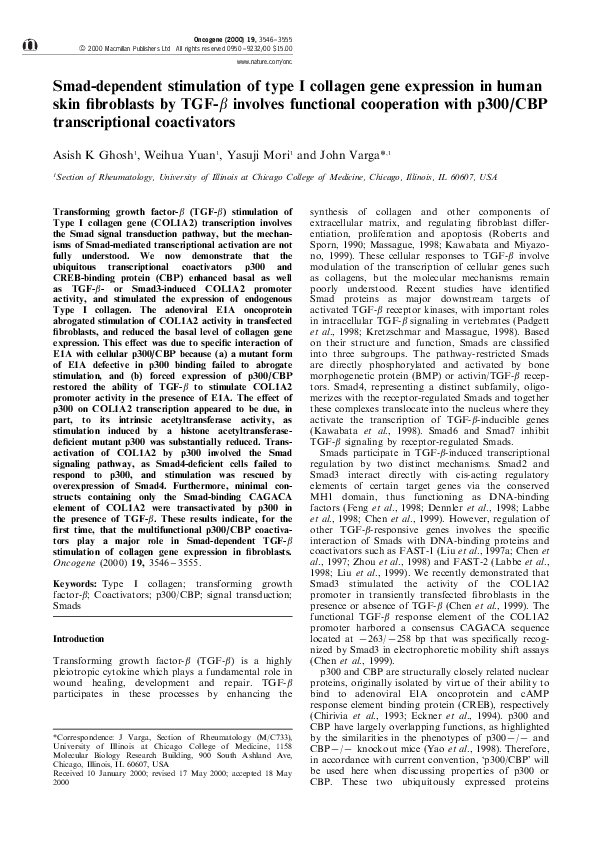 (PDF) Smad-dependent stimulation of type I collagen gene expression in ...