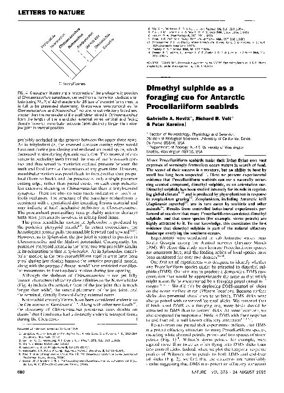 (PDF) Dimethyl sulphide as a foraging cue for Antarctic Procellariiform ...