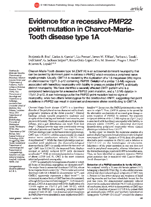 (PDF) Evidence for a recessive PMP22 point mutation in Charcot–Marie ...