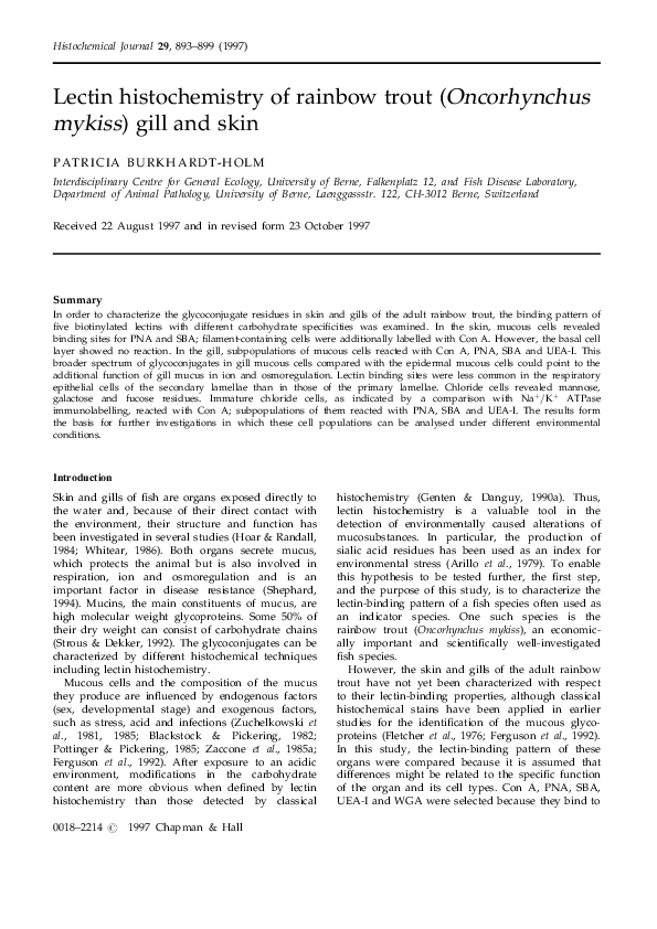 (PDF) Lectin histochemistry of rainbow trout (Oncorhynchus mykiss) gill ...