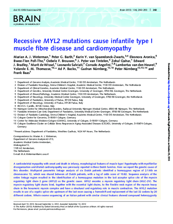 (PDF) Recessive MYL2 mutations cause infantile type I muscle fibre ...
