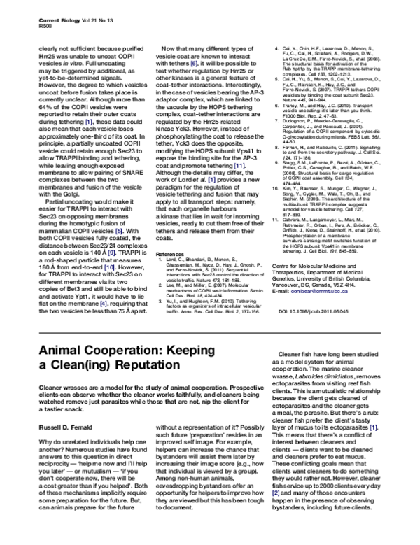 Animal Cooperation: Keeping a Clean(ing) Reputation