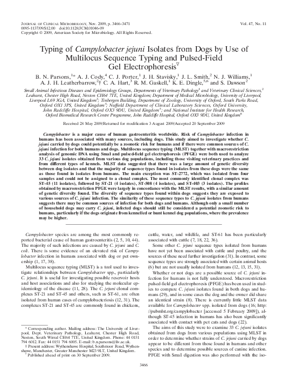 (PDF) Typing of Campylobacter jejuni Isolates from Dogs by Use of ...