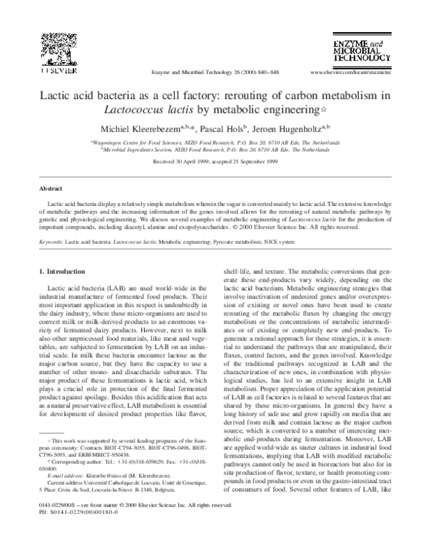 Lactic Acid Bacteria As A Cell Factory Rerouting Of Carbon Metabolism In Lactococcus Lactis By