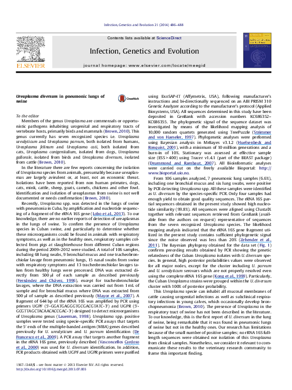 (PDF) Ureaplasma diversum in pneumonic lungs of swine