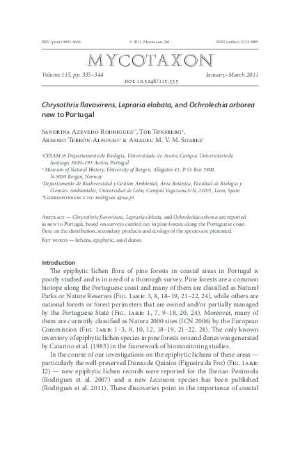 (PDF) Chrysothrix flavovirens, Lepraria elobata , and Ochrolechia ...