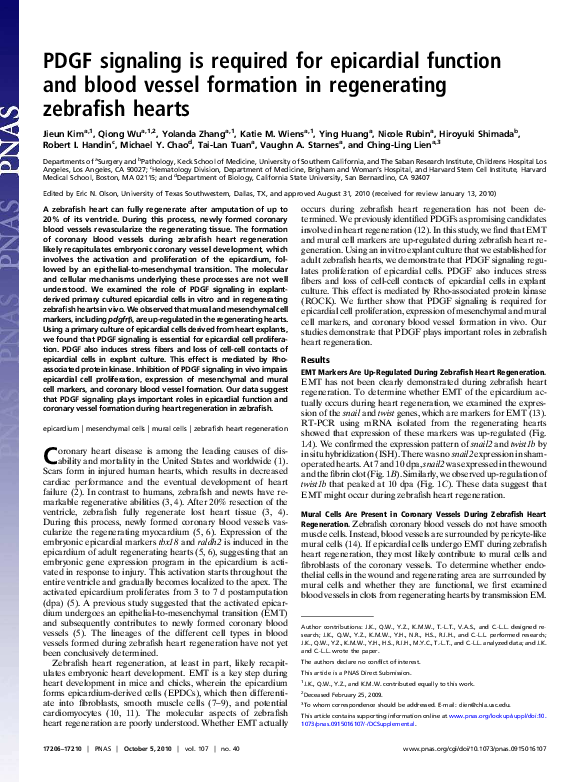 (PDF) PDGF signaling is required for epicardial function and blood ...