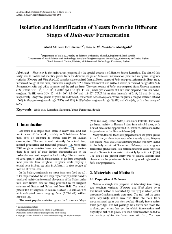 (PDF) Isolation and Identification of Yeasts from the Different Stages ...