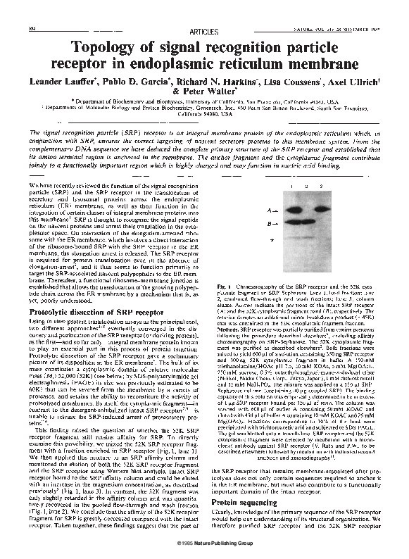 (PDF) Topology of signal recognition particle receptor in endoplasmic ...