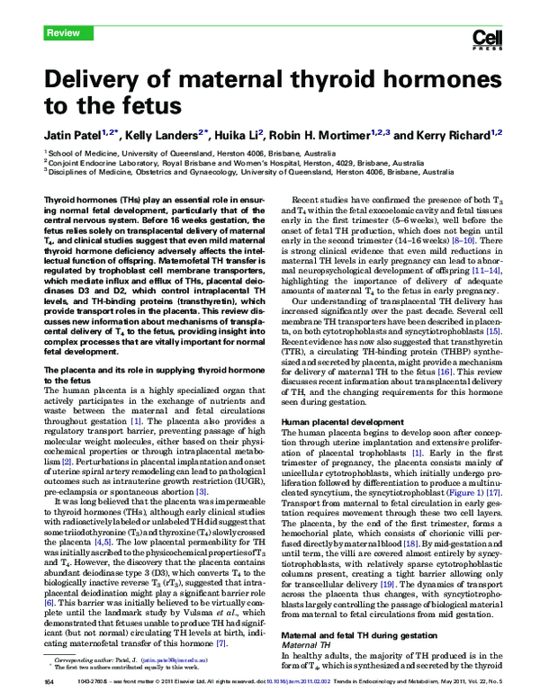 (PDF) Delivery of maternal thyroid hormones to the fetus