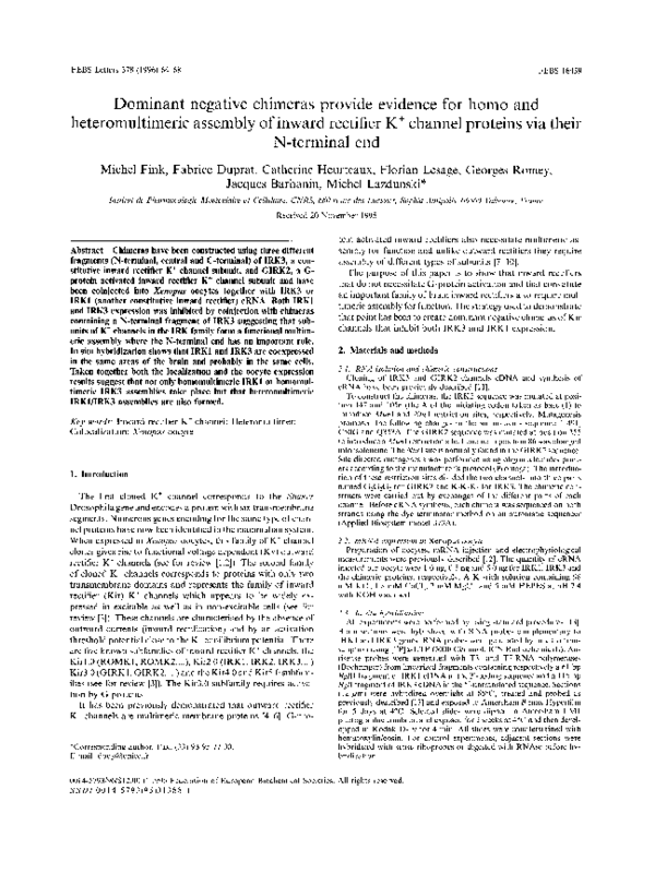 (PDF) Modulation of the Inward Rectifier Potassium Channel IRK1 by the ...