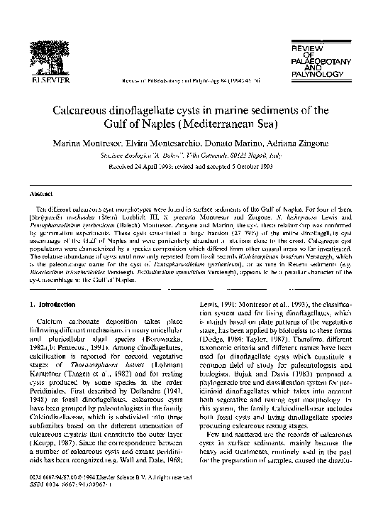 (PDF) Calcareous dinoflagellate cysts in marine sediments of the Gulf ...