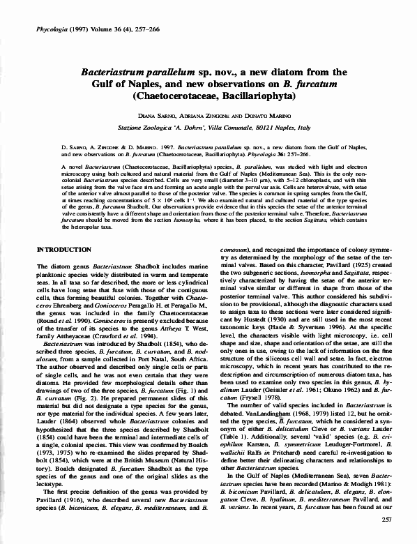 (PDF) Bacteriastrum parallelum sp. nov., a new diatom from the Gulf of ...