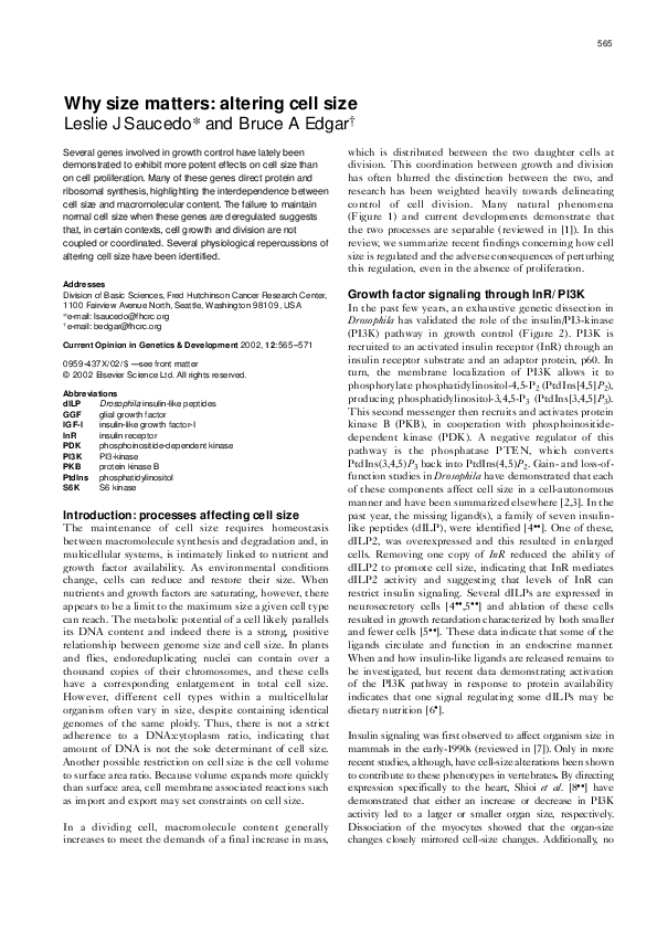 (PDF) Why size matters: altering cell size