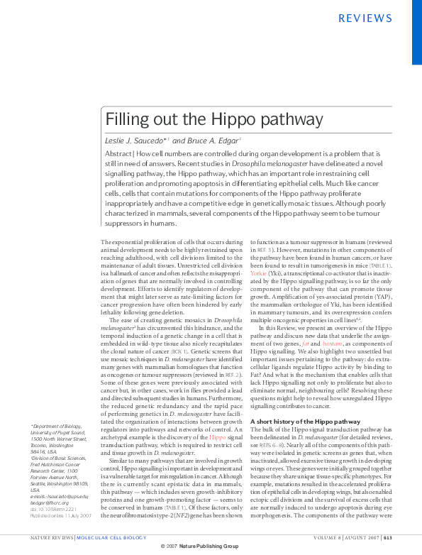 (PDF) Filling out the Hippo pathway