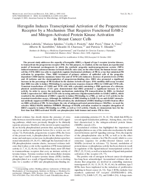 (PDF) Heregulin Induces Transcriptional Activation of the Progesterone Receptor by a Mechanism ...