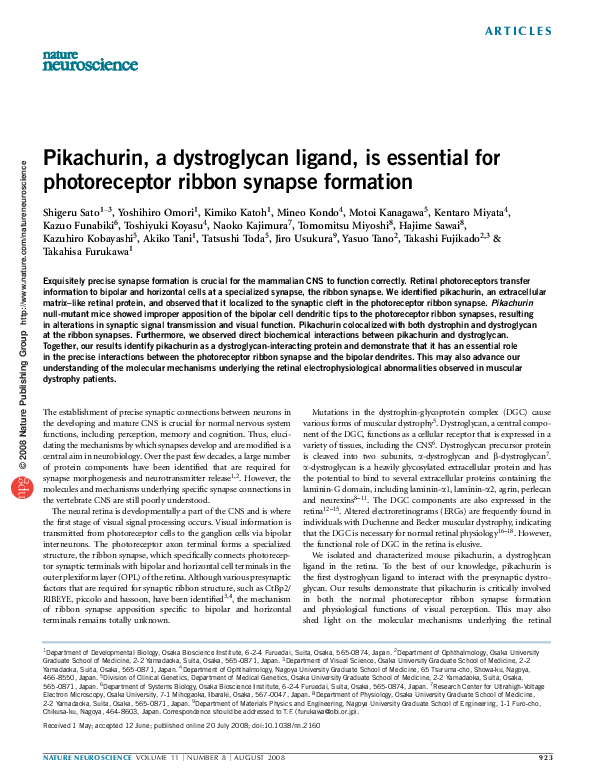 (PDF) Pikachurin, a dystroglycan ligand, is essential for photoreceptor ...