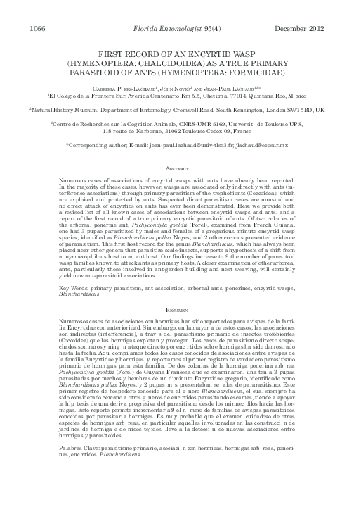 (PDF) First Record of an Encyrtid Wasp (Hymenoptera: Chalcidoidea) as a ...