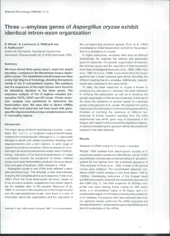 (PDF) Three ?-amylase genes of Aspergillus oryzae exhibit identical ...