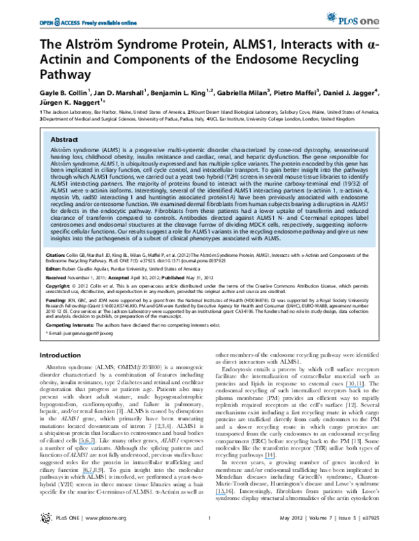 (PDF) The Alström Syndrome Protein, ALMS1, Interacts with α-Actinin and ...